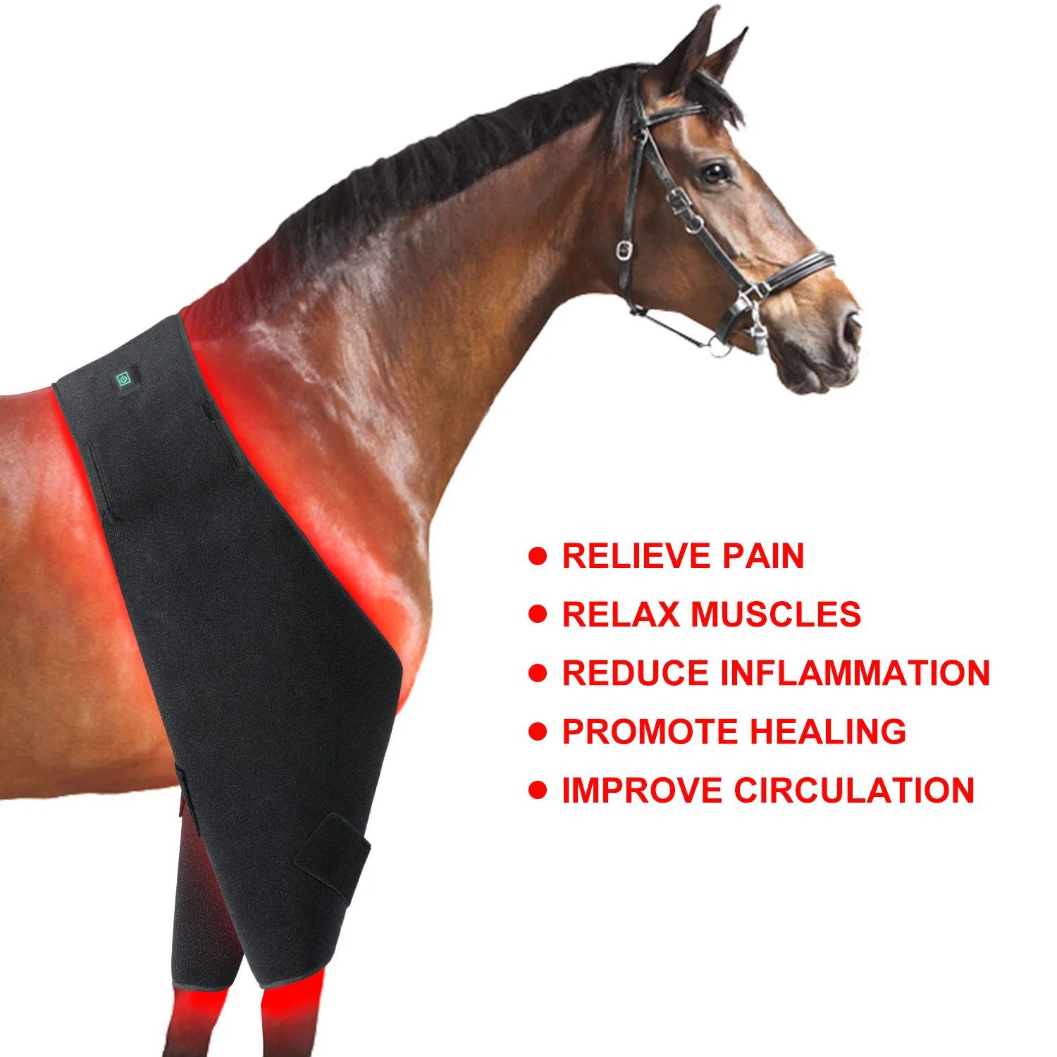 Equine Red Light Therapy Pad for Horse Recovery & Wellness