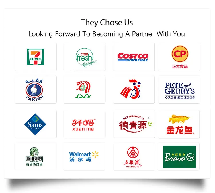 CPET Plastic Food Container Oven Microwave Safe Disposable Recyclable ...