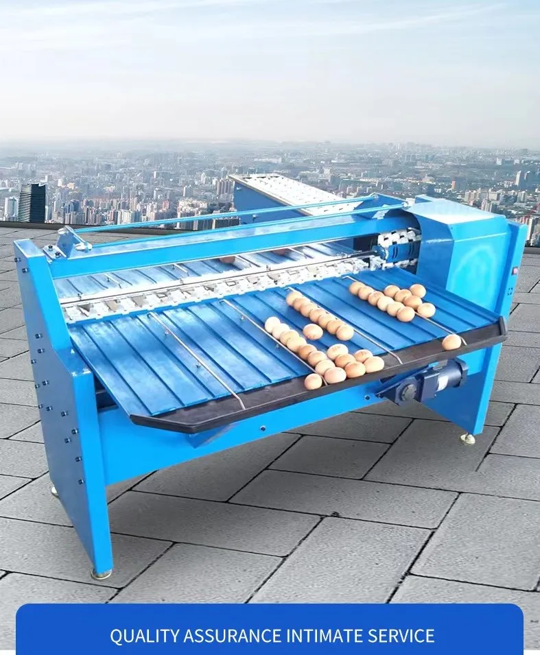Scale Grader Sorting And Egg Grading Machine For Hatchery - Buy Egg Scale Egg Grader,Sorting And ...