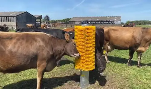 Durable Cow and Sheep Brush - Efficient Animal Care Tool