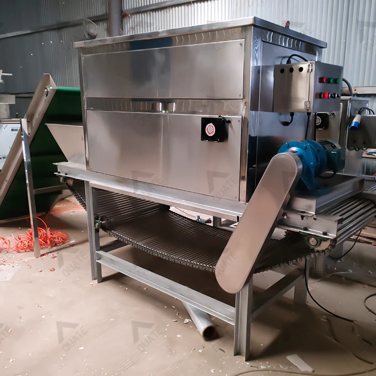 Efficient Garlic Peeling with Automatic Processing Equipment