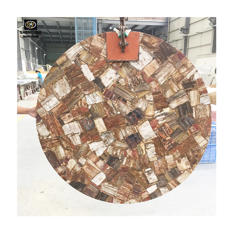 Petrified Wood Stone Slab - Durable & Stylish Interior Decor