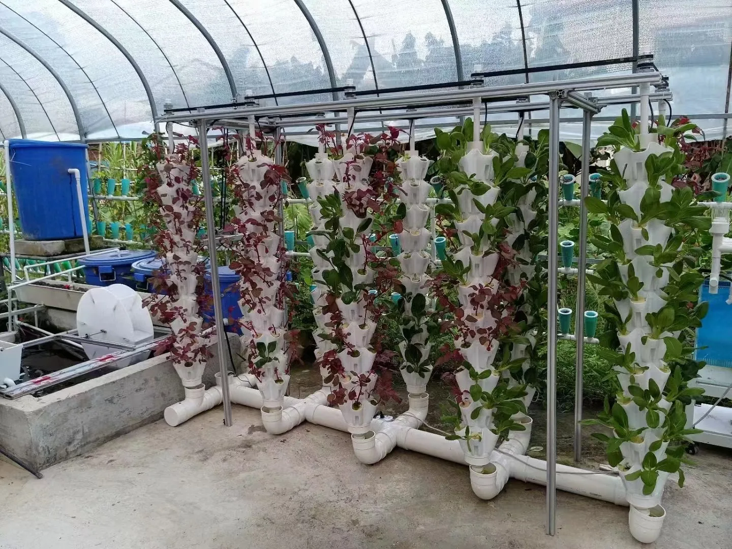 Vertical Grow Systems - Efficient Hydroponic Solutions