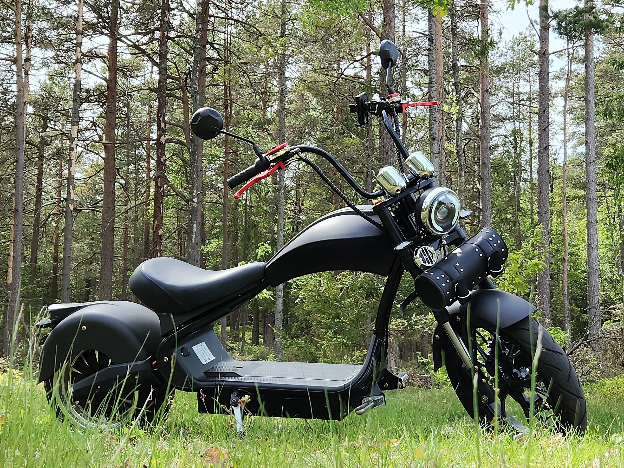 4000W Three Wheeler Electric Citycoco Tricycle E Scooter