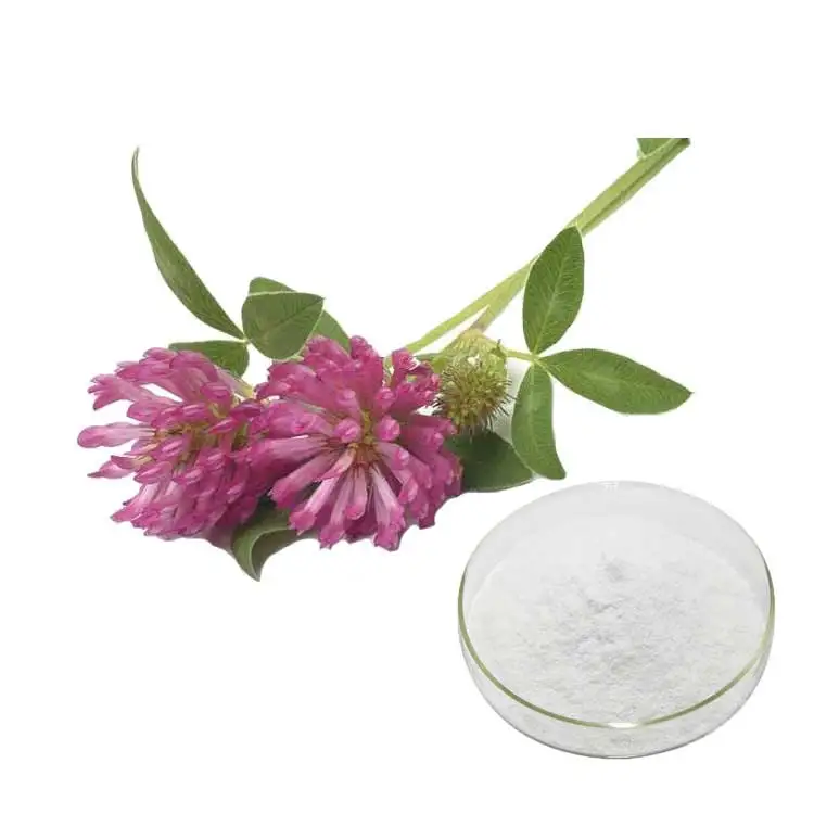 High Quality Natural Red Clover Extract Powder - Buy Red Clover Extract ...