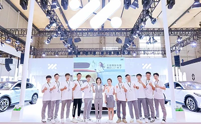 Imls6 Mini Electric Car 4-wheel Drive For Tourism And Personal Use New ...