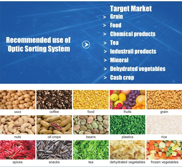 8 Chutes Plastic Color Sorting Machine Competitive Price Rice Beans ...