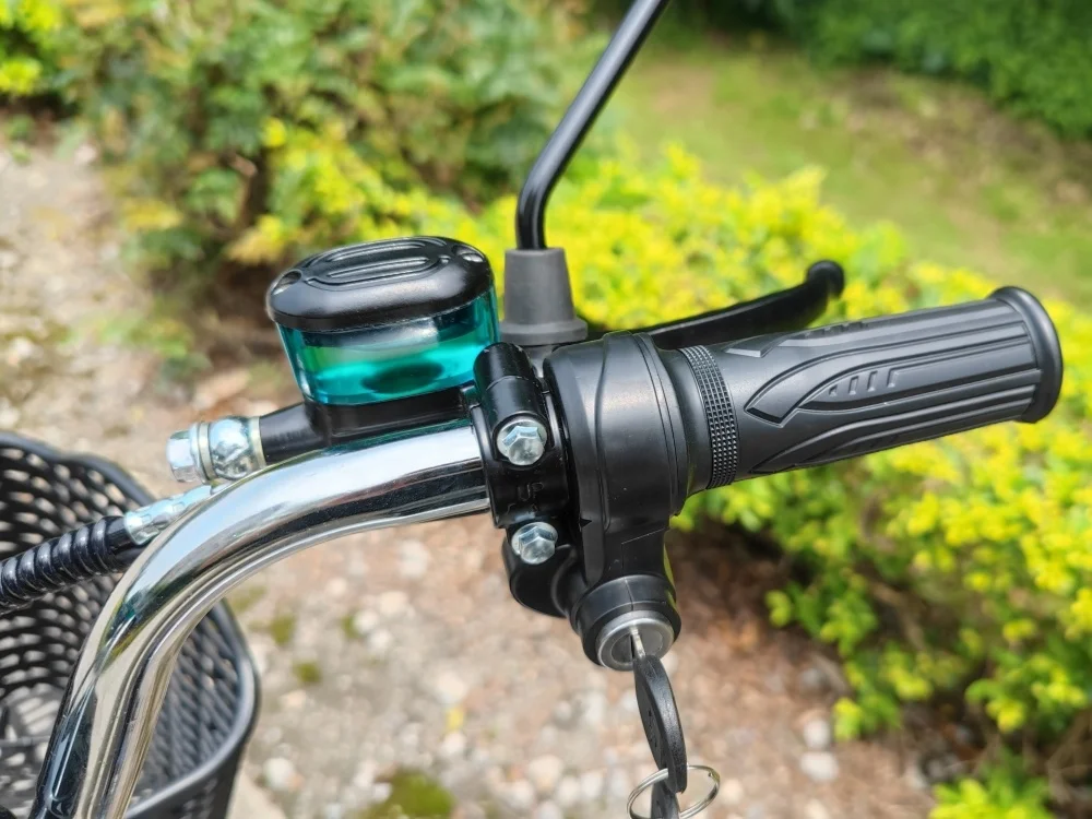 Disiyuan Monster Citycoco Electric Bike 48v 60v 20ah Battery Food Delivery Bike 500w 1000 W 16 ...