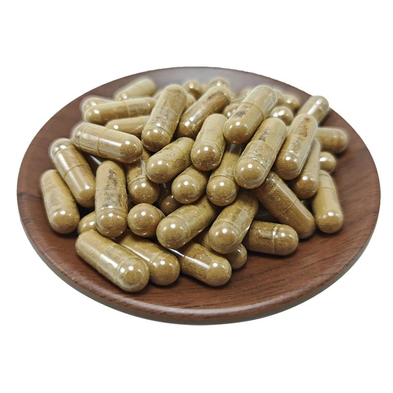 Customized Reishi Mushroom Capsules Ganoderma Lucidum Capsule Reishi ...