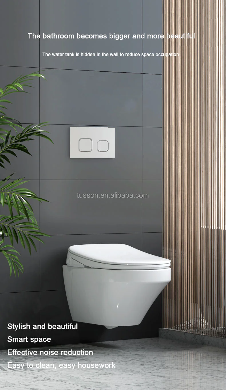 Wc Concealed Cistern Factory Conjoined Cistern Toilet Bathroom Ceram ...
