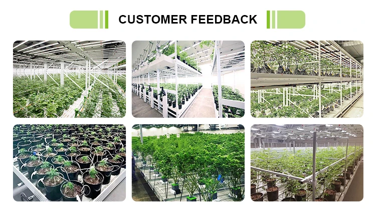 4x8 Flood Trays Table Rolling Benches Multi Tier Mobile Grow Racks With ...