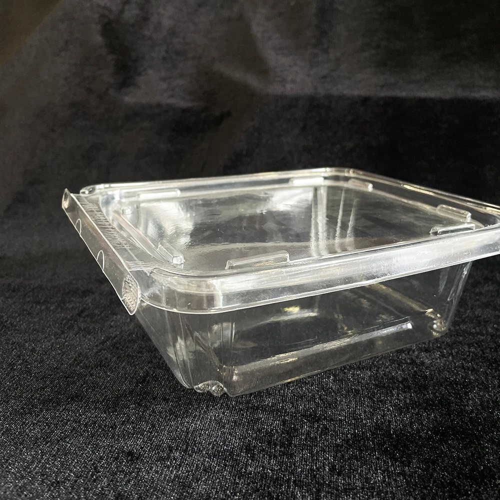 Disposable Food Containers PET Plastic Box Sealed Transparent Hinge ...