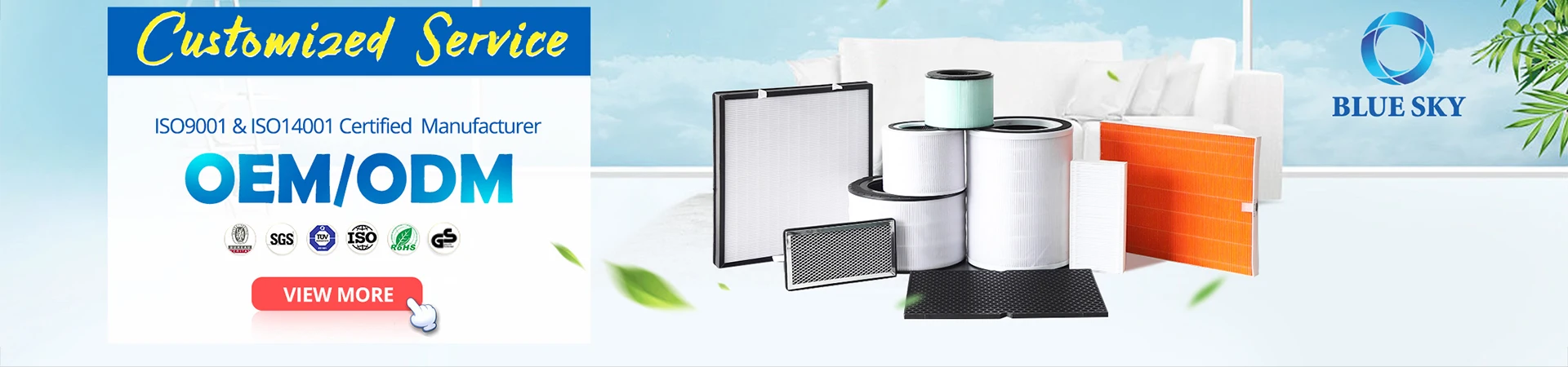 Nanjing Blue Sky Filter Co., Ltd.