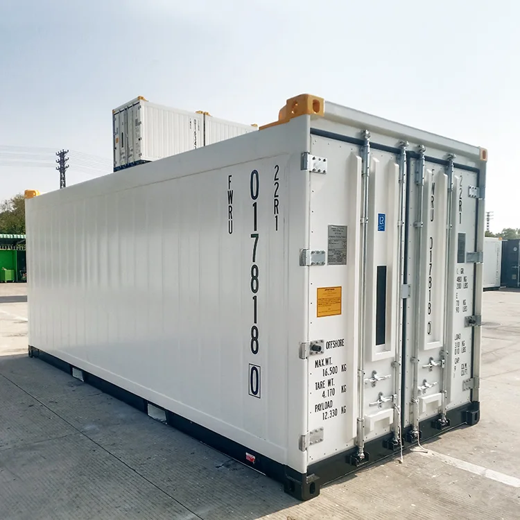 20 Ft Offshore Freezing Shipping Container Frozen Shipping Container ...