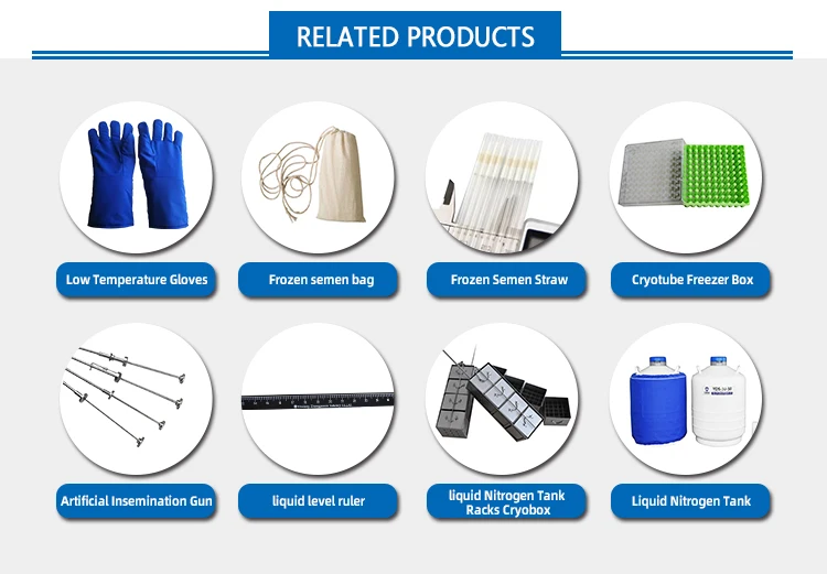Cryogenic Measurement Cryogenic Container Rapid Measurement Liquid ...