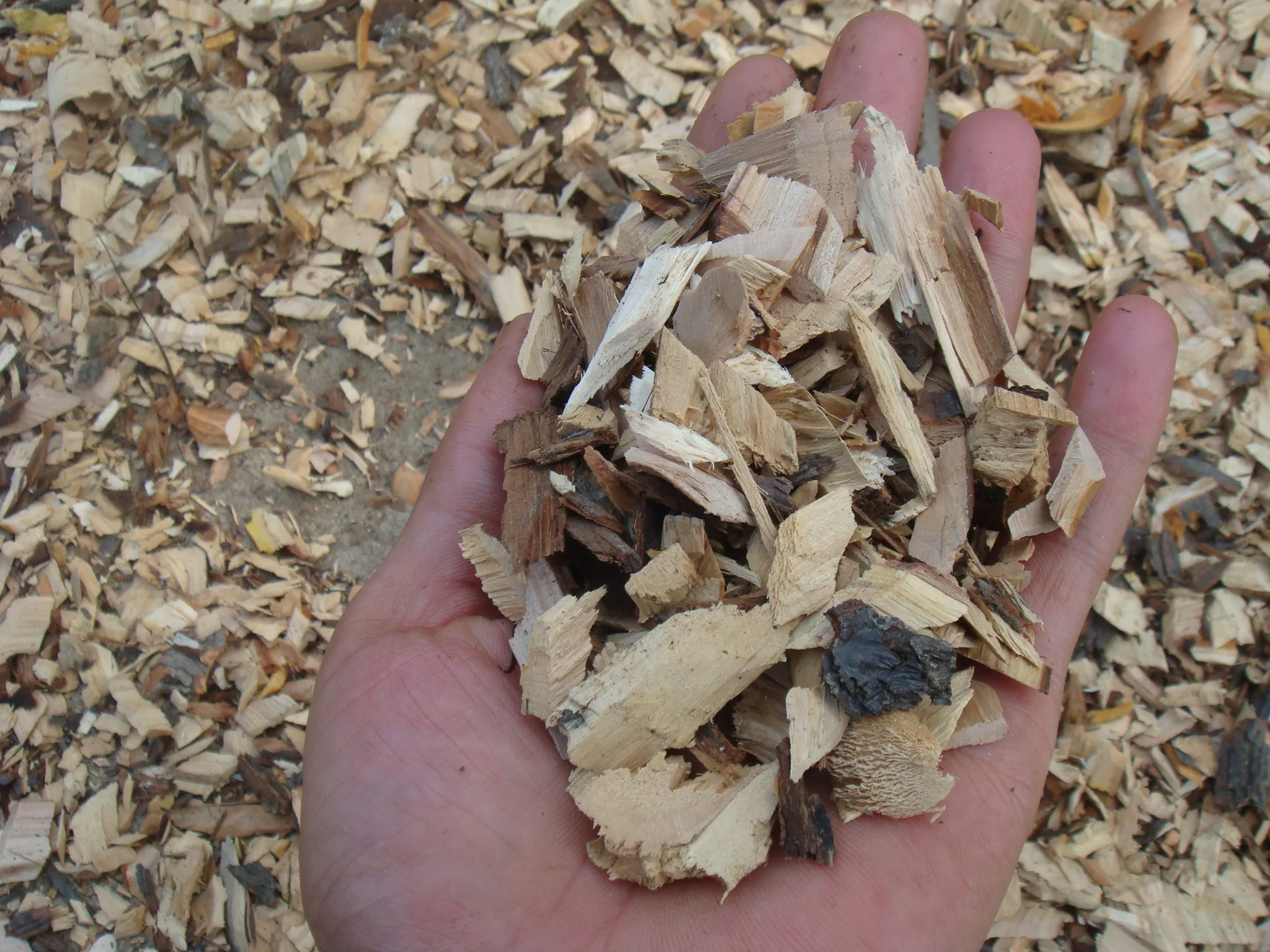 Self Powered 40hp Wood Chipper Hydraulic Feeding Tree Branch Mulcher ...