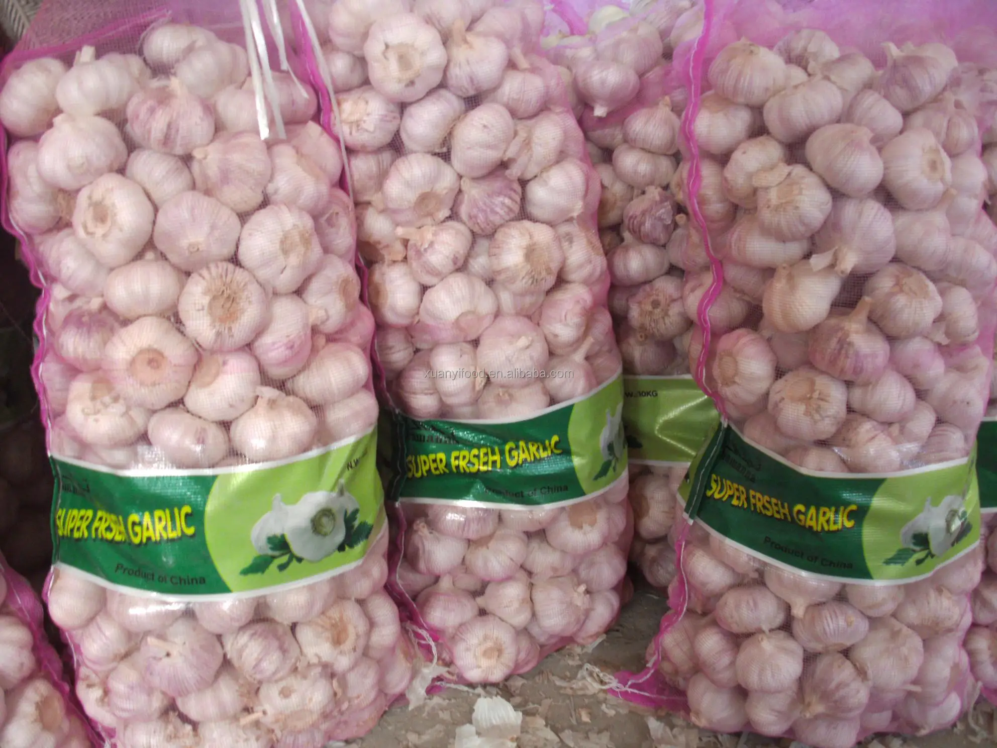 Pure White Garlic - Fresh & Customized Packing for Importers