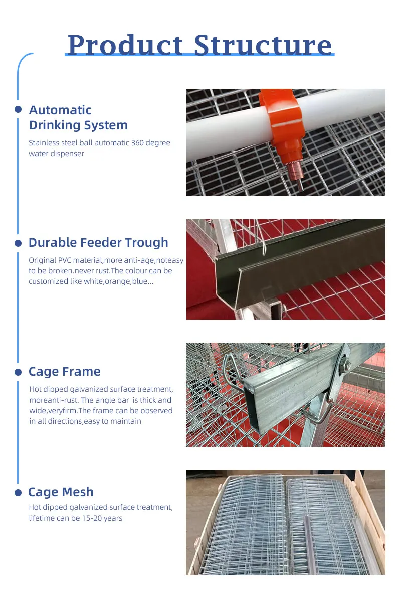 Poultry Cage - Automatic Chicken Cages for Poultry Farms