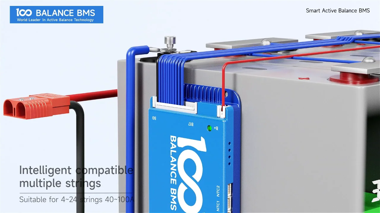 Lfp Smart Bms With Built-in 1a Active Balancer Electric Vehicle E-bike ...