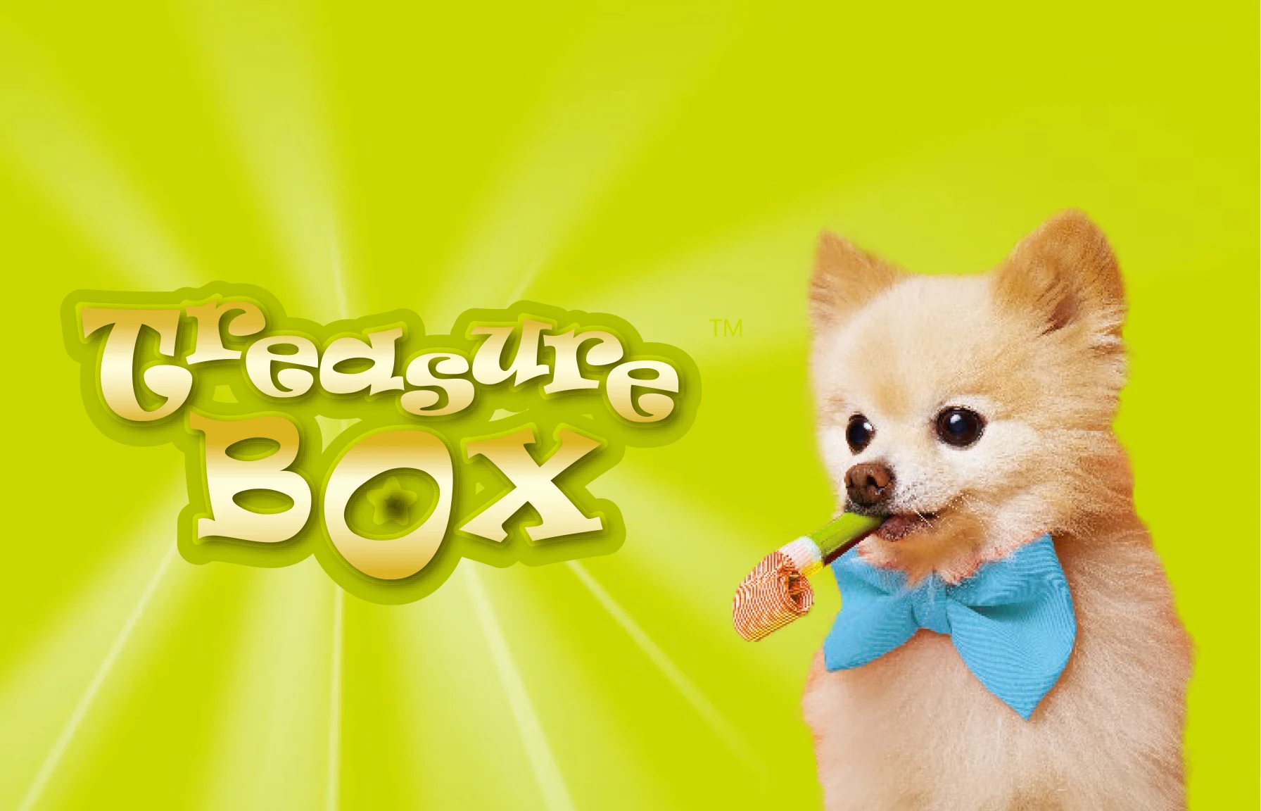 Happy Birthday Dog Toys - AFP Vibrant Colors Plush Set