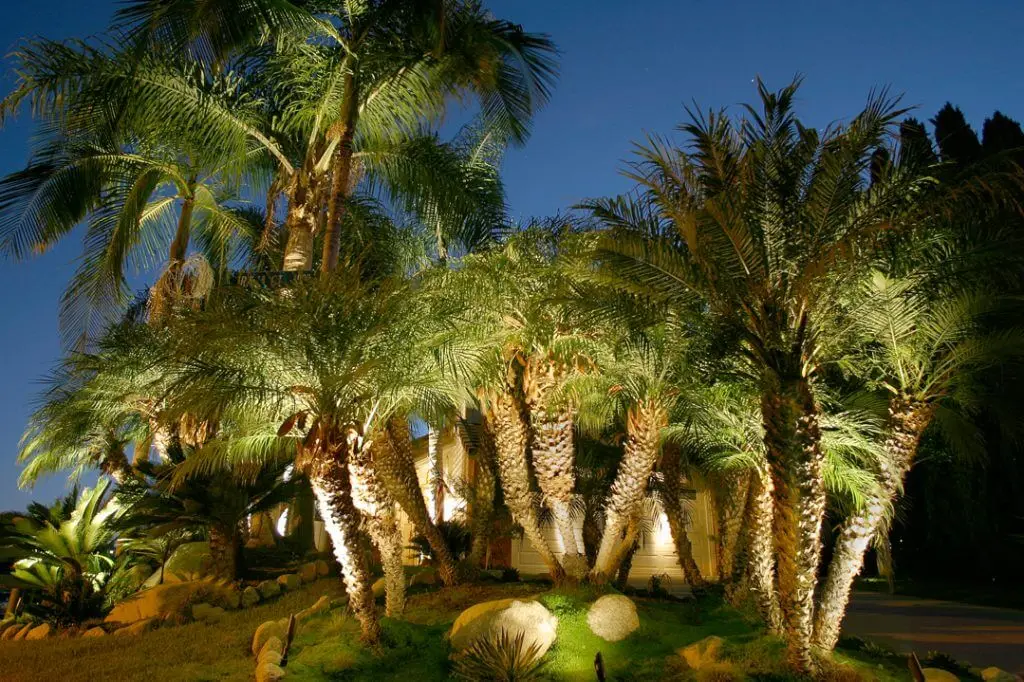 Smart Tuya Wifi Led Tree Ring Lights With ZigBee LED Controller RGB+CCT ...