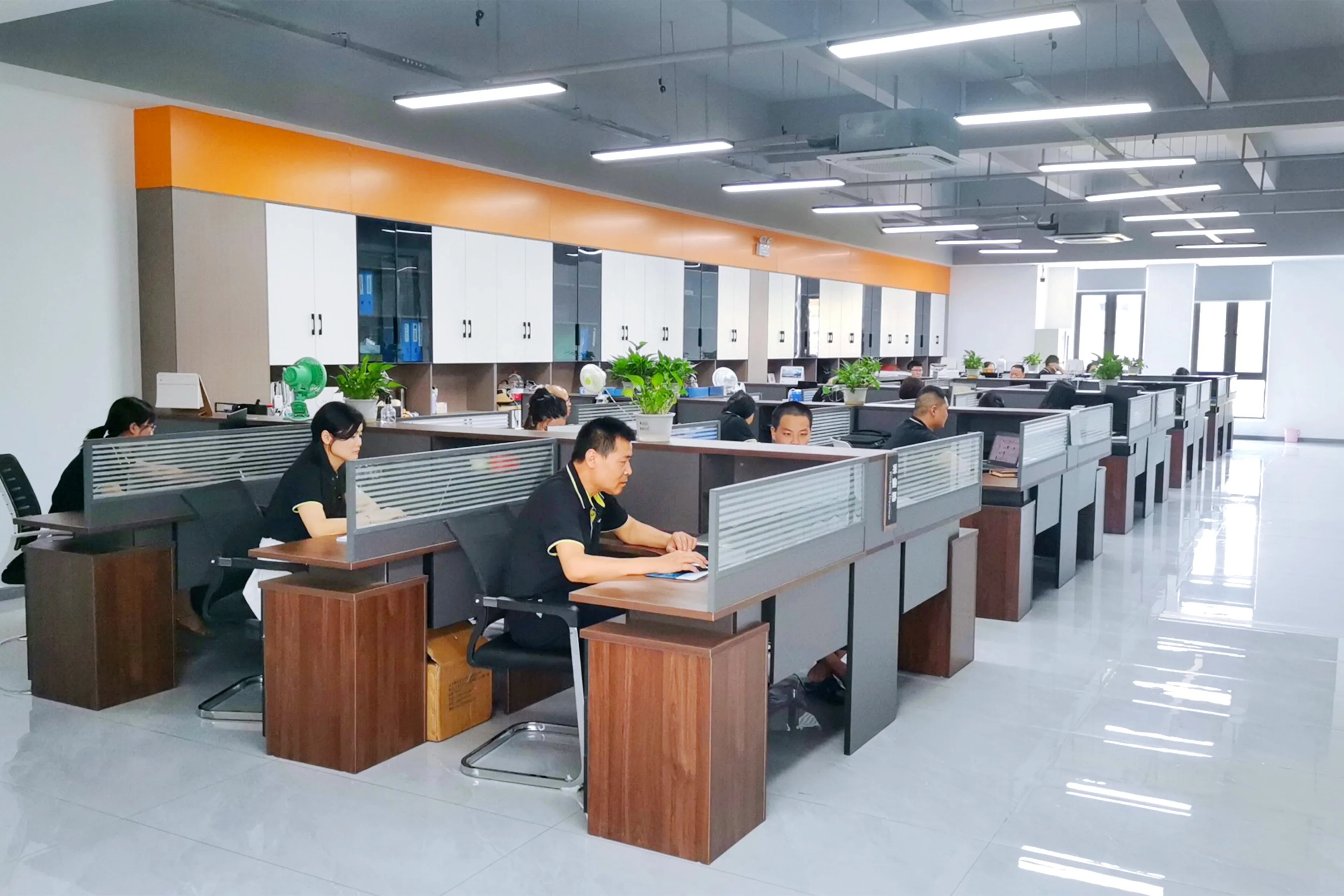 Portable ENT Surgery Laser Instrument - 810nm/980nm