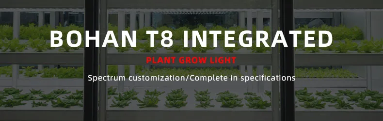 Red Color T8 Led Tube Light Blue 720nm Led Sprout Light Grow Uvb Lights ...