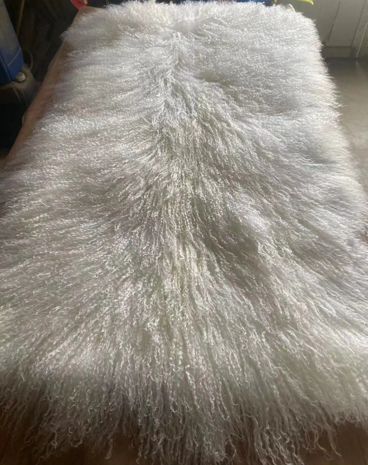 Tibetan Mongolian Lamb Fur Plate Real Genuine Eco Tanned Curly Long ...