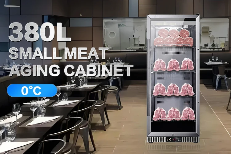 Upright Stainless Steel Dry Aging Cabinet Beef Pork Dry Ager Maturing ...