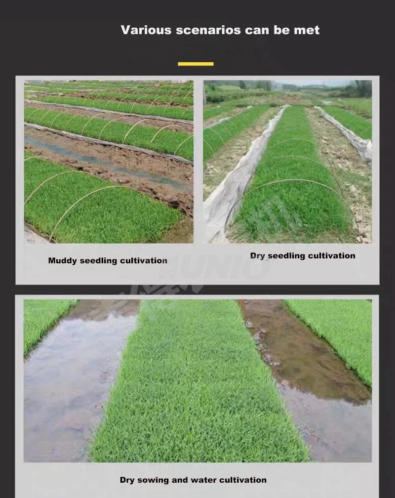 Manual Paddy Rice Planter Sower Machine Paddy Mulch Earthing Mulching ...