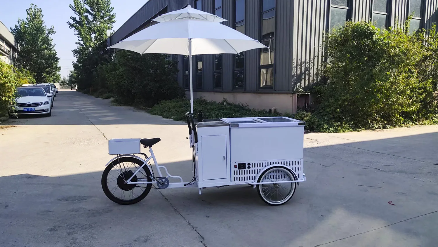 Customized Logo Electric Three-wheel Trolley Mobile Snack Cart Low-cost ...