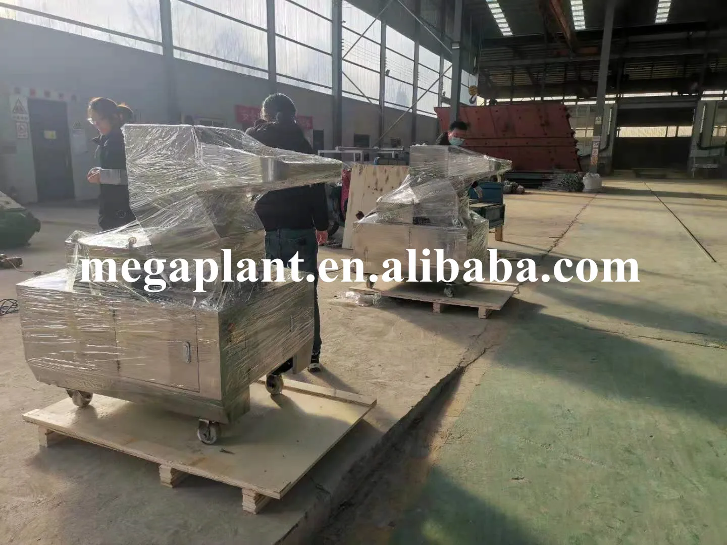 50kg/h Capacity Animal Bone Crusher Grinder Machine for Sale