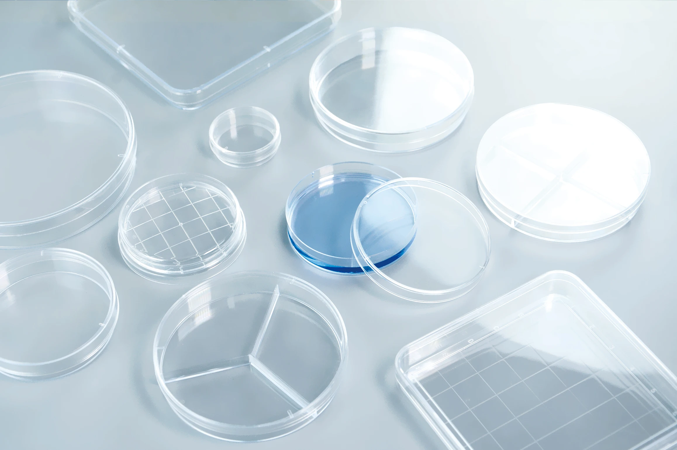 Vegas Medical Grade Pp Petri Dish 90mm Laboratory Disposable Petri Dish ...