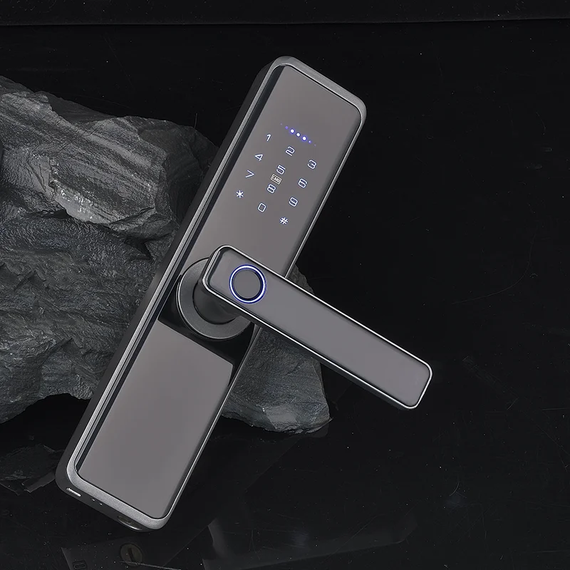 Suoboot Anti Theft Tuya App Biometric Intelligent Electronic ...