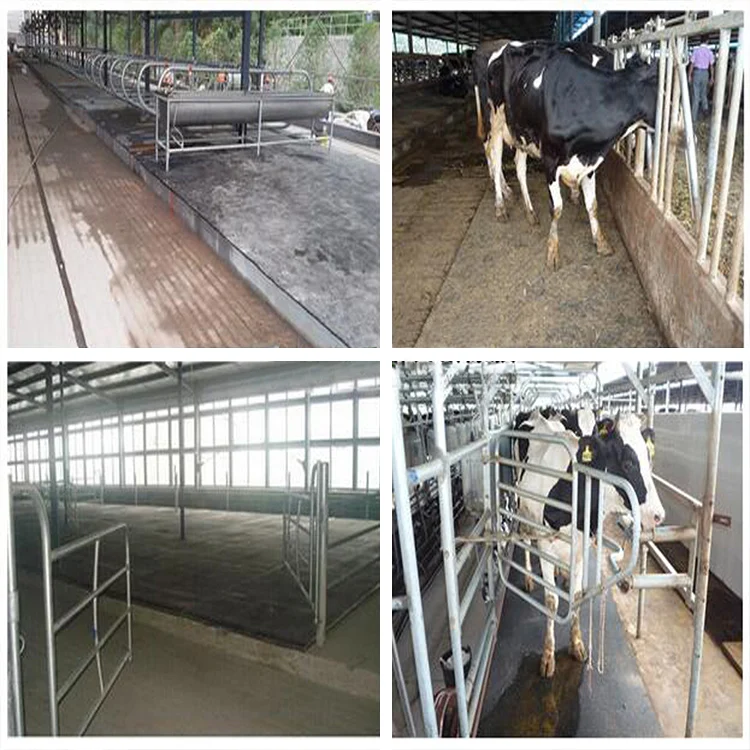 Durable and Permeable Horse Cow Stall Floor Rubber Mat/Hammer Cow Mat ...