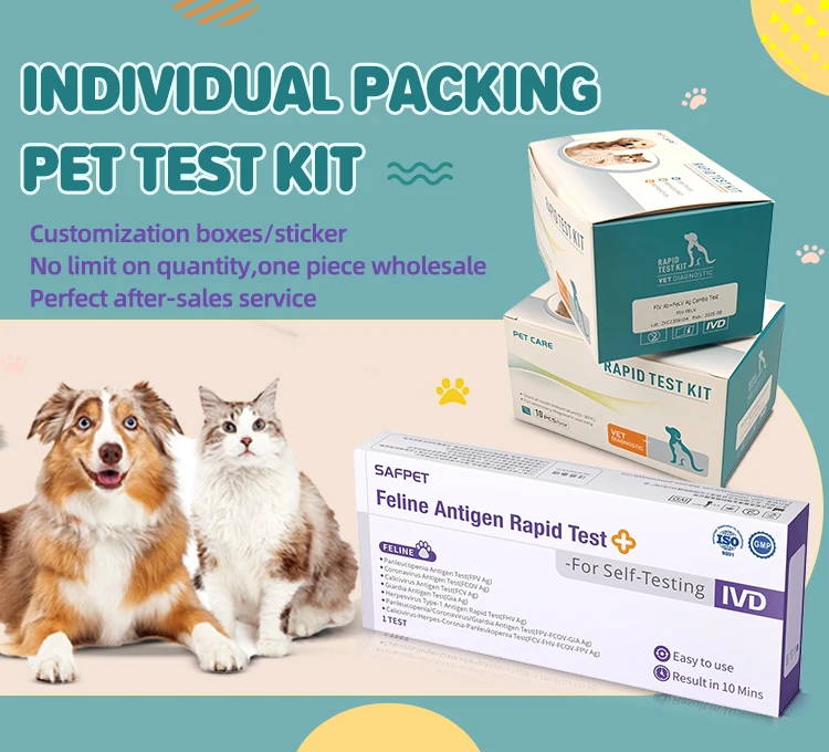 Canine Brucella Ab Antibody Test Canis Brucellosis Rapid Test Kit - Buy ...
