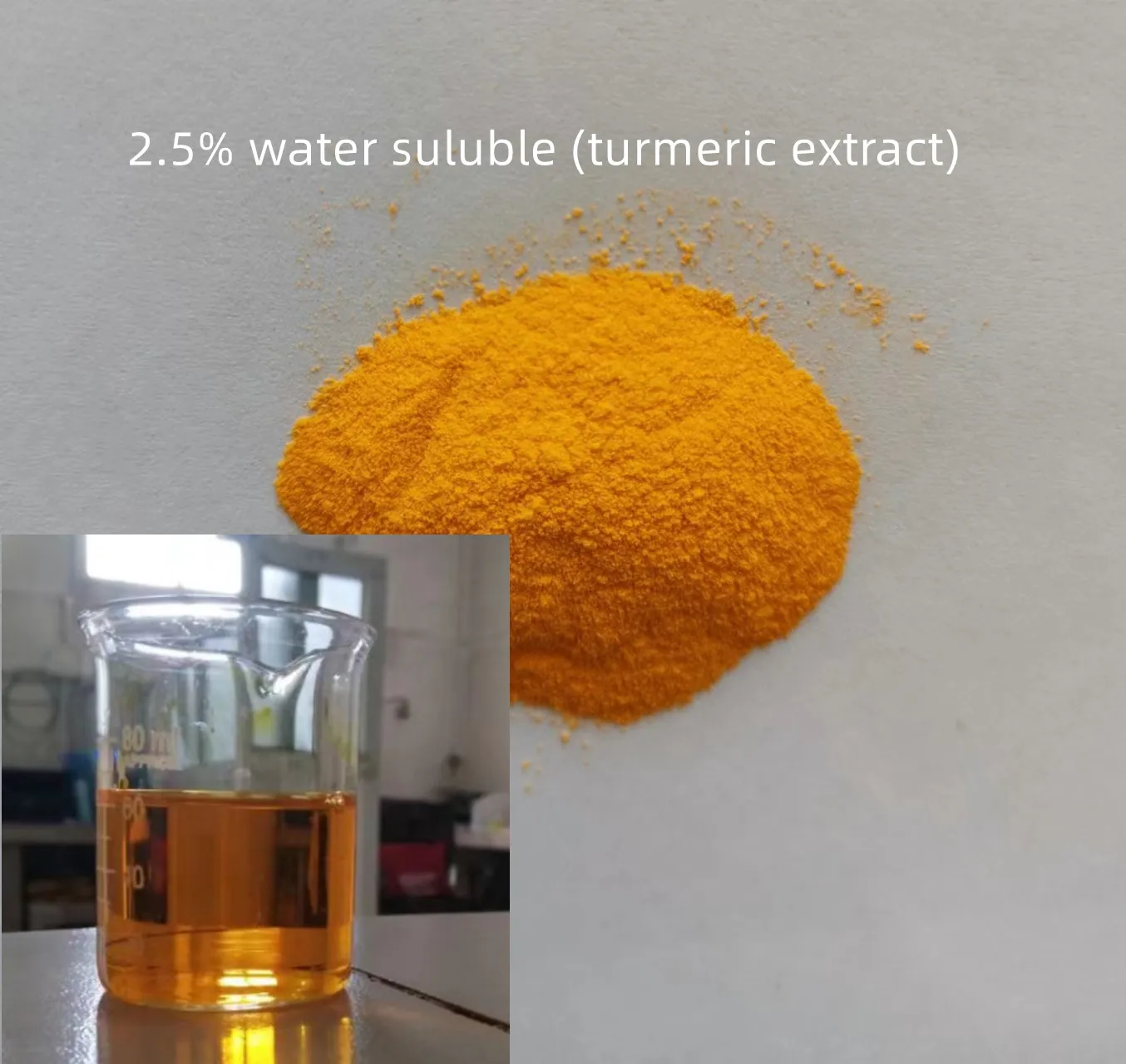 Bulk Natura Water Soluble Curcumin 2.5% 10% Food Grade Turmeric Extract ...