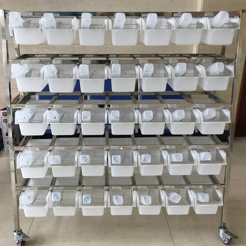 Laboratory Spf Rat Polypropylene Mice Breeding Cage Shelves Stainless ...