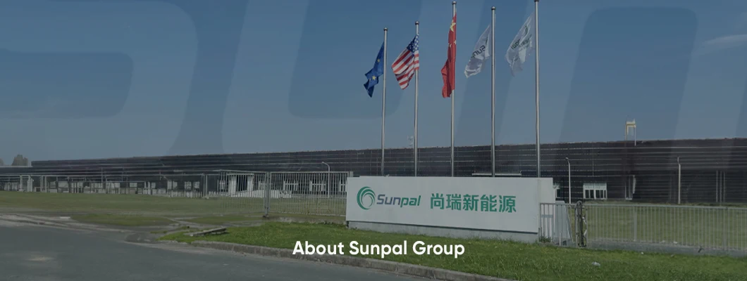 Sunpal Photovoltaic Panel Full Black Topcon 550w 560w 570w Solar Panel ...