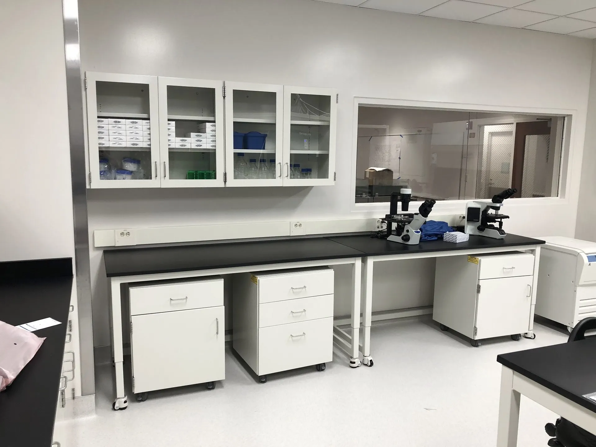 Lab Work Station with Movable Cabinet & Reagent Shelf for School ...