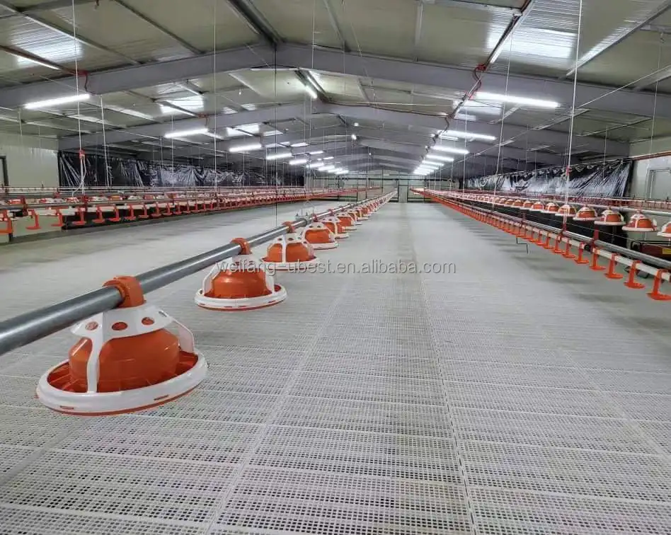 Broiler Chicken Tunnel Ventilation System - Automatic Poultry