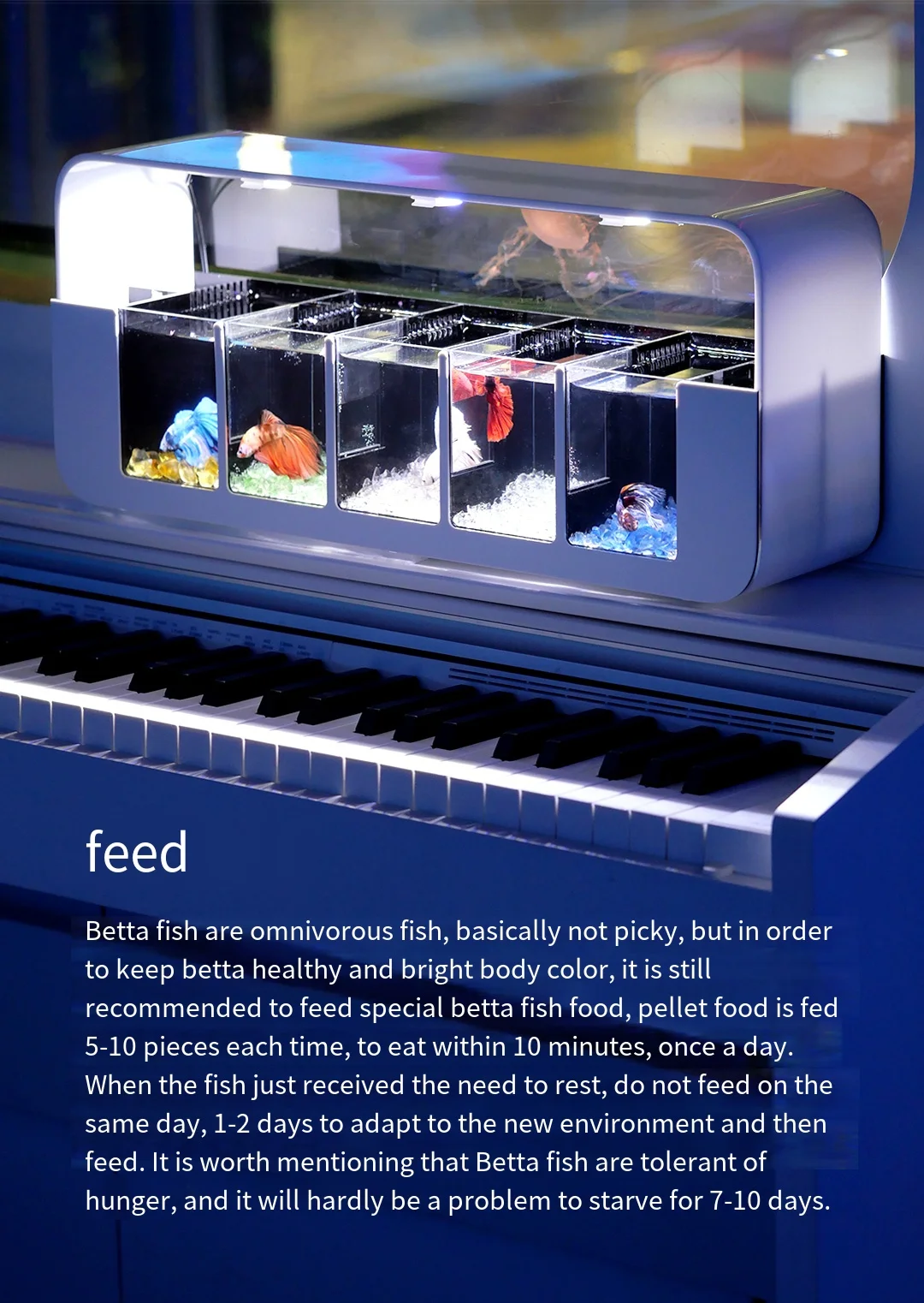 OEM New Layered Douyu Fish tank Combination Multi Grid Moonlight ...