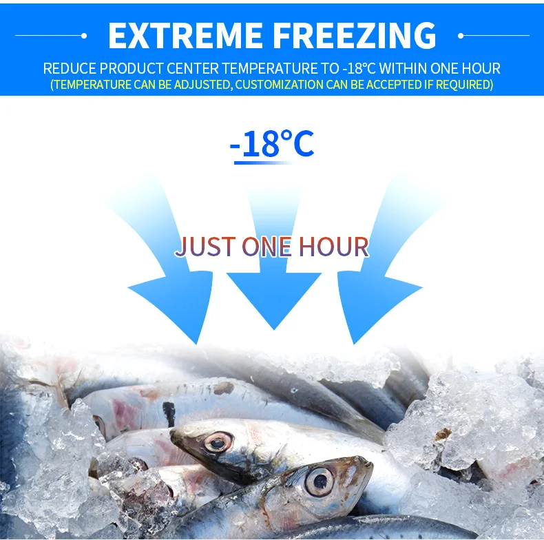 Refrigerated Container Blast Freezer Machine Freezer Room Set Cooler ...