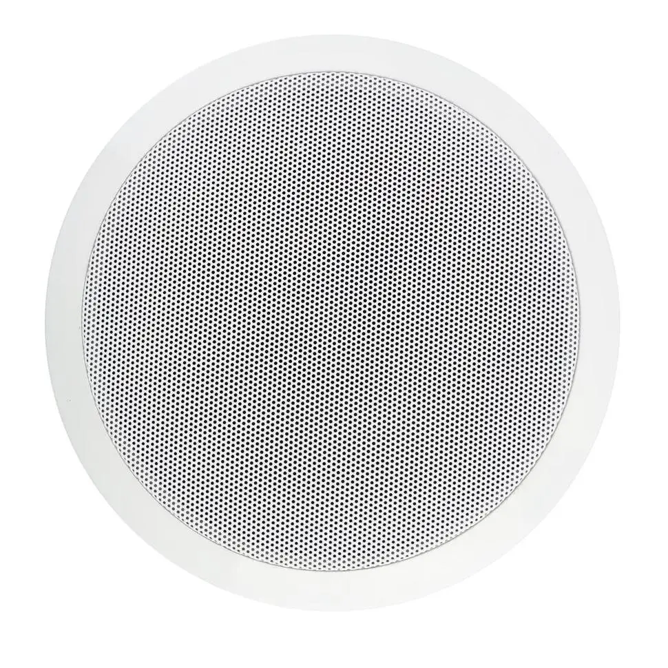 2 Way Ceiling Speaker 1U Power 10 Inches Mid Bass 18 Inch Music 1000 ...