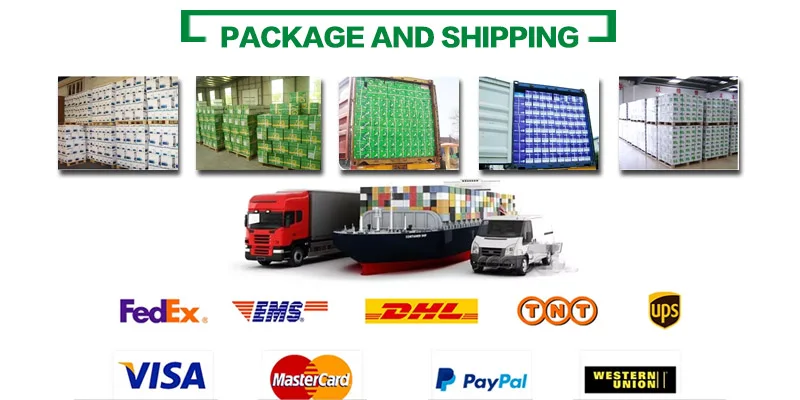 Invoice Receipt Continuous Form Printer Office Printing A4 Copy ...