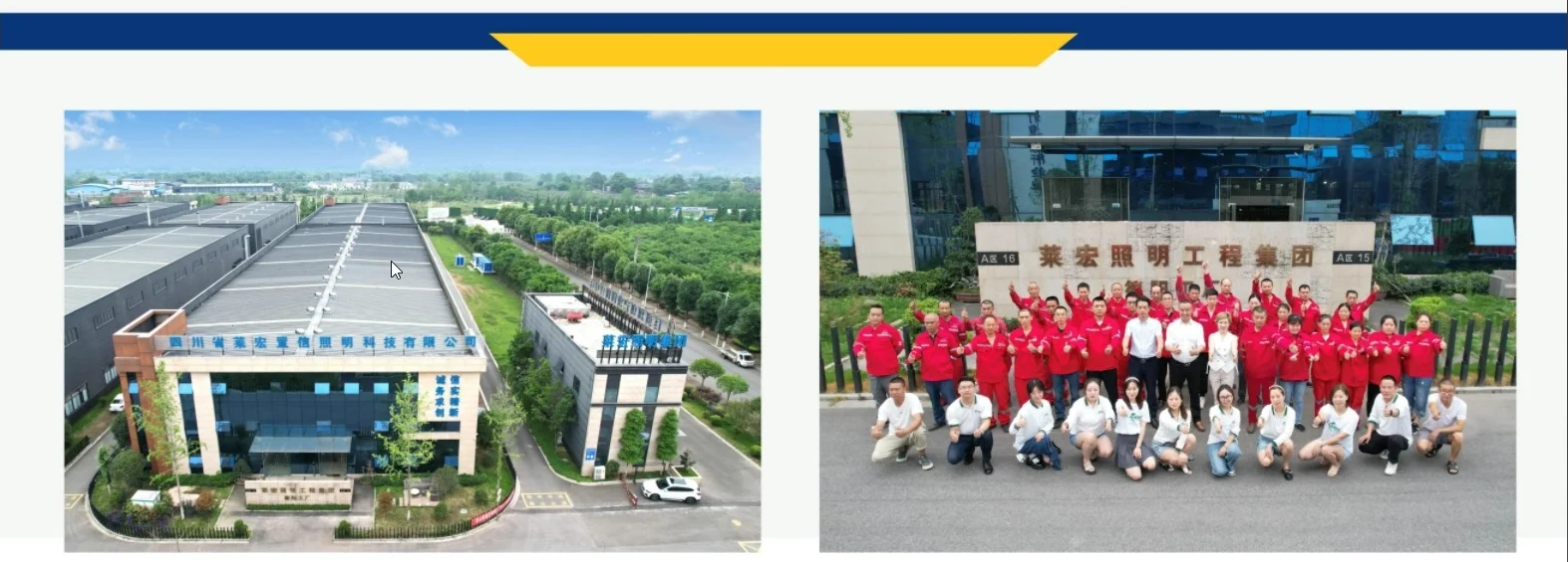 Laihong Outdoor Lighting LED Chinese Style Magnolia Lamp Municipal Road Landscape Projects ...