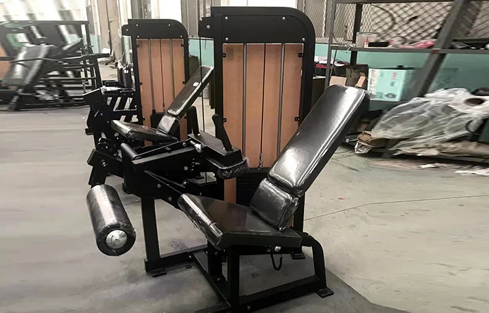 Bodybuilding Back Extension Exercise Machine Gym Fitness