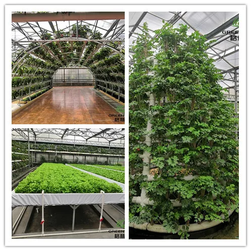 Automatic Fertilizer And Water Integrated Machine System For Convenient ...