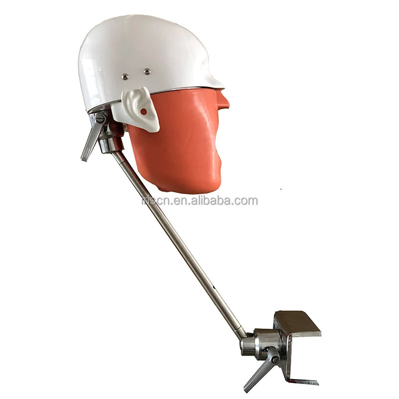 TJIRIS Dental Education Manikin Heads - Simple Type Models