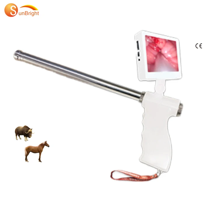 Ai Visual Goat Artificial Insemination Gun Portatil For Dogs Cow Cattle ...